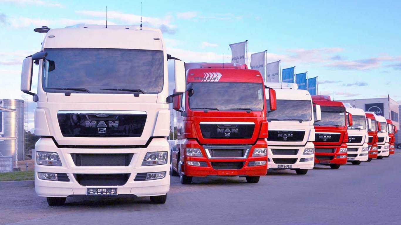 True Blue - Job Recruitment Agency